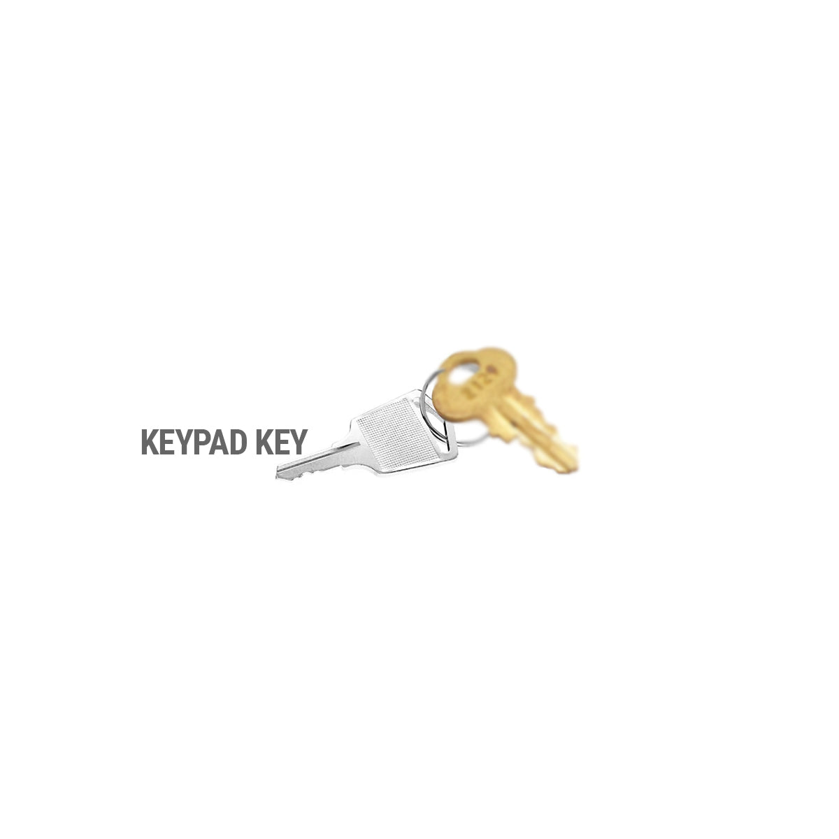 PD6500i Key for KEYPAD – Garrett Security